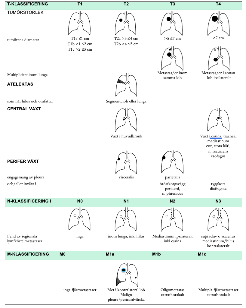 Utredning – Diagnostik och tumörutbredning - RCC Kunskapsbanken
