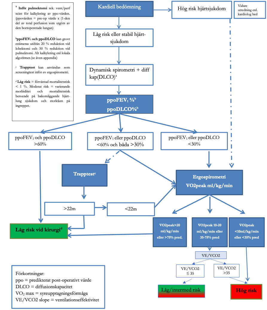 Utredning – Diagnostik och tumörutbredning - RCC Kunskapsbanken